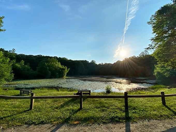 Sunset over Hidden Pond proves that sometimes the best entertainment doesn't require a subscription service or WiFi.