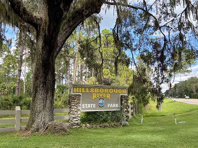 Spanish moss drapes the entrance sign like nature's welcome banner, inviting you into this riverside sanctuary.