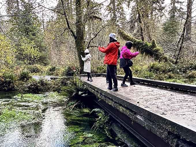 Visitors pause on wooden bridges to marvel at the scenery, cameras clicking as nature performs its show.