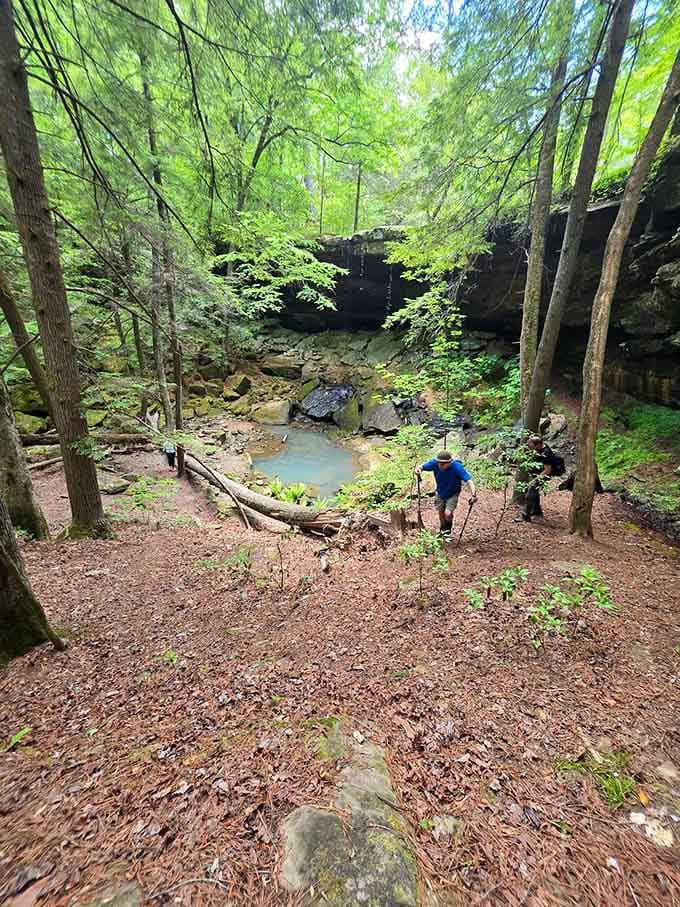 Hikers descending toward the falls, about to experience that moment when the view makes everything worthwhile completely.
