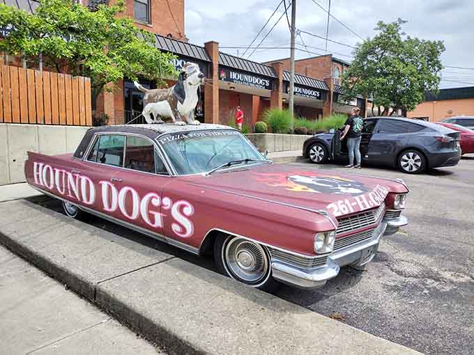 A vintage Cadillac with a hound dog sculpture proves this place takes its name seriously and its fun even more so.