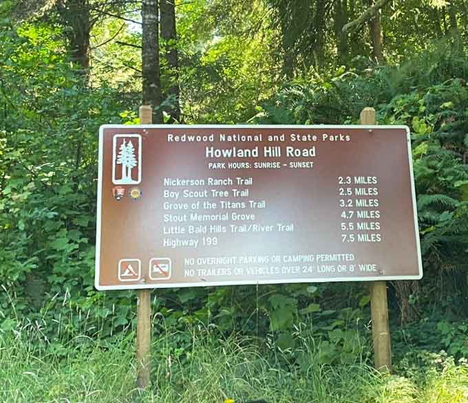 This sign lists all the trails accessible from Howland Hill Road&mdash;basically a menu of natural wonders.