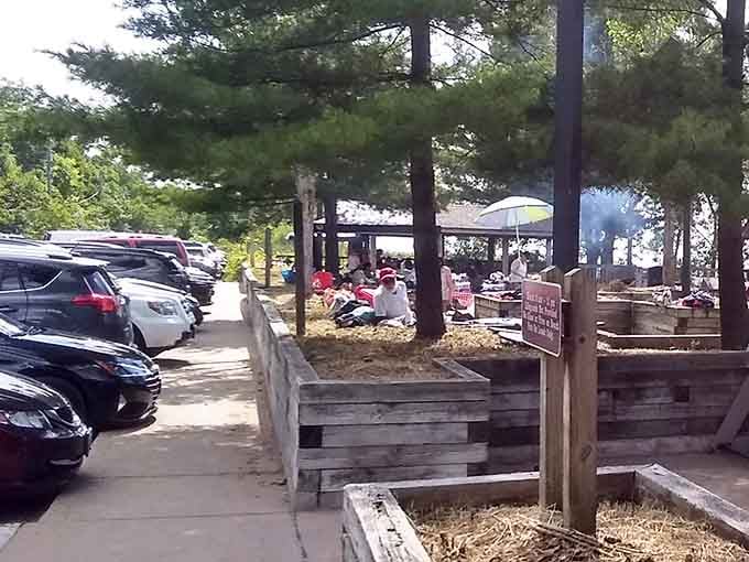 The parking area where your adventure begins, conveniently located near trees that have seen it all before.