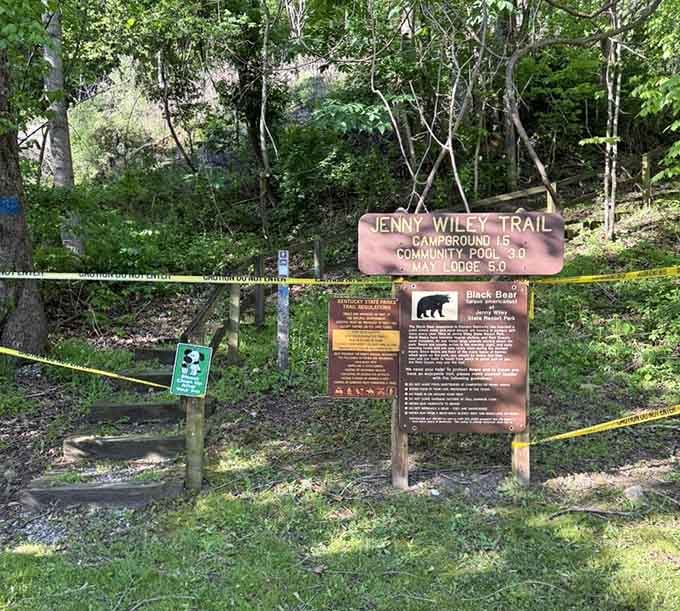 Trail markers pointing toward adventure, though that bear warning adds a little spice to the journey.