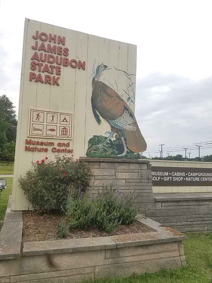 The welcome sign featuring Audubon's artwork: proof that even park signage can have serious artistic credentials.