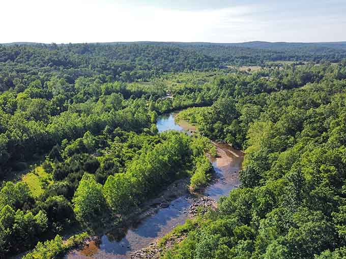 Aerial views reveal how the Black River carved its serpentine path through ancient volcanic rock formations.