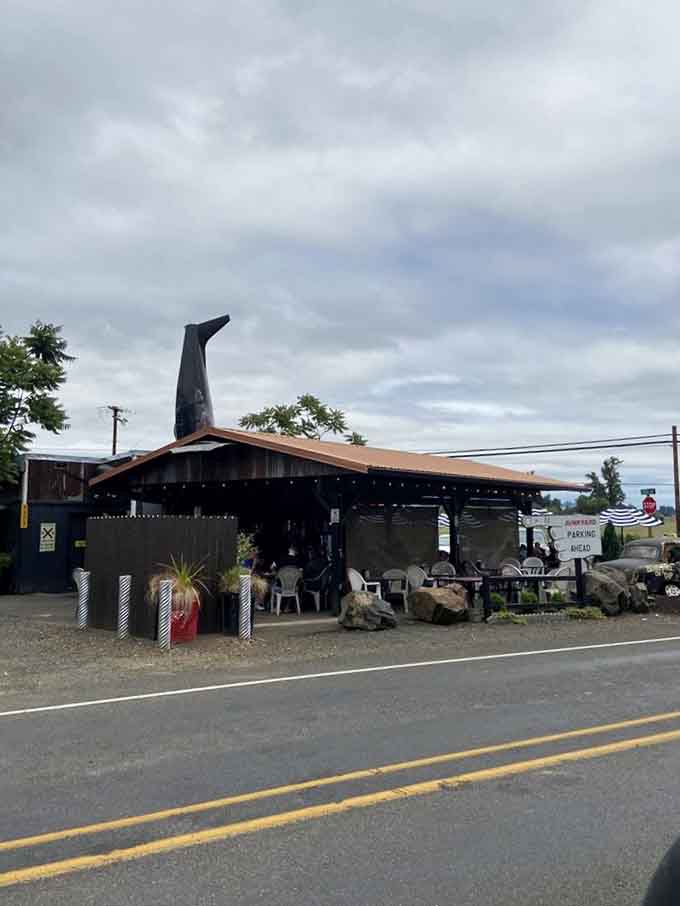 From the street, that airplane tail announces you've arrived somewhere wonderfully weird and absolutely worth visiting.