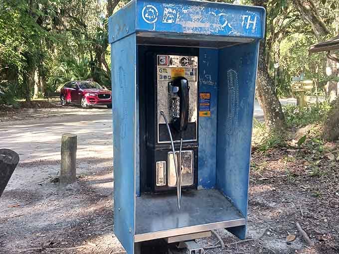 A working payphone in the wild, proving this park really does offer a complete escape from modern life.