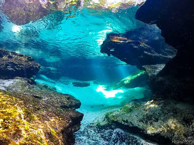 Underwater at Rock Springs, where the view rivals any tropical destination and the admission price is infinitely better.