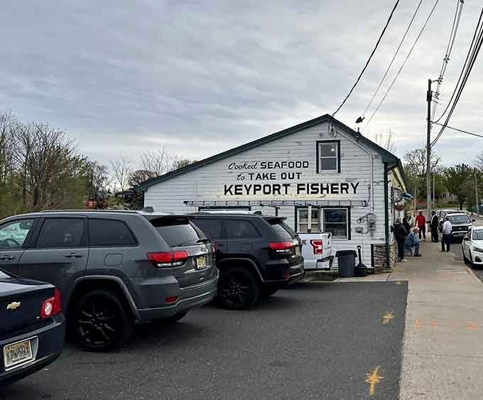 When the parking lot is this full, you know the locals have already figured out what visitors are just discovering about this place.
