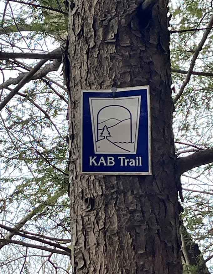 Trail markers guide your journey because getting lost in the woods isn't everyone's idea of fun.