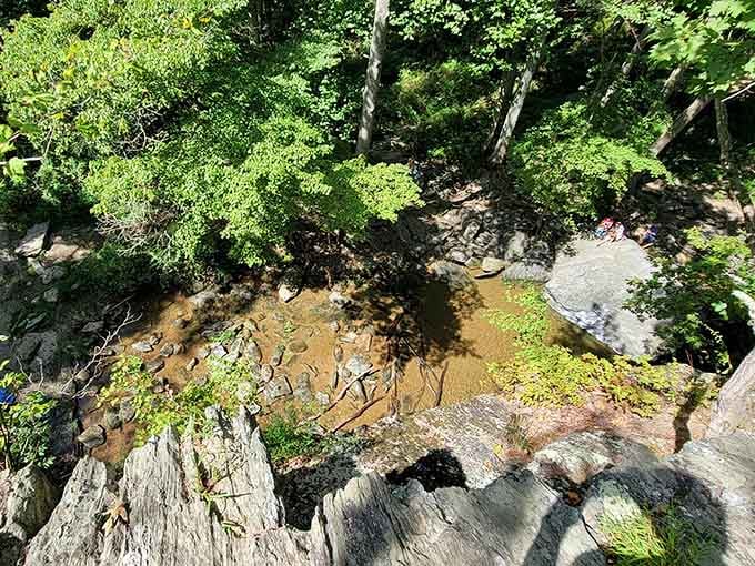 From above, the winding stream reveals its serpentine path through the forest like nature's own secret highway.