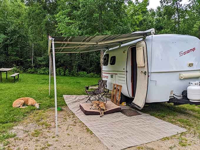 That vintage camper setup proves you don't need luxury accommodations when you've got lakefront views and fresh air.