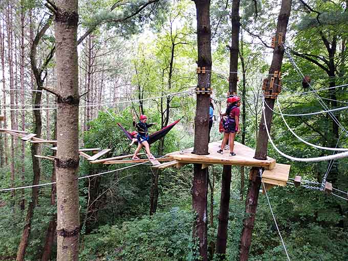 Multiple platforms create an intricate web through the trees, transforming ordinary forest into extraordinary playground.