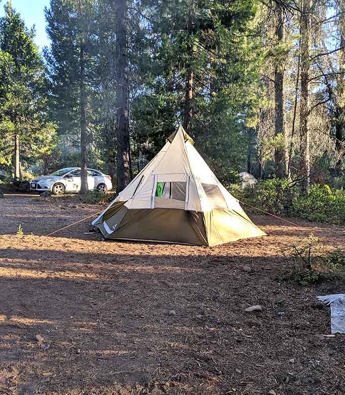 A tent glowing at dusk among the pines captures that classic camping magic that never gets old.