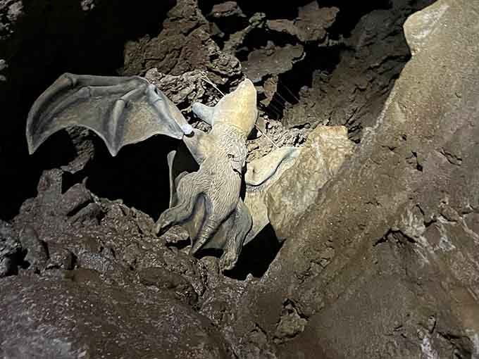 This bat sculpture reminds visitors that the real residents are harmless neighbors, not the hair-tangling monsters from your childhood nightmares.