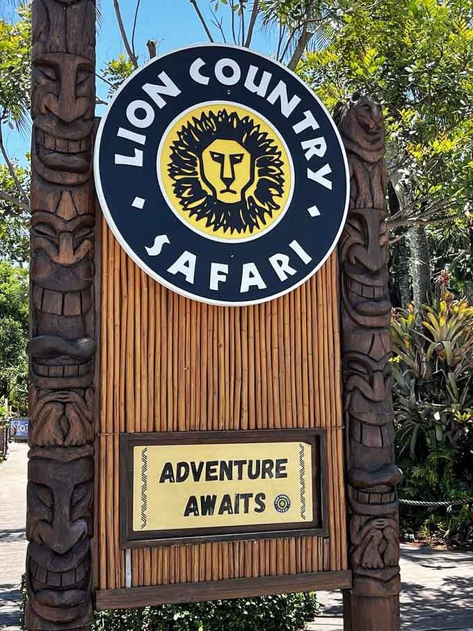 That "Adventure Awaits" sign isn't kidding around; it's basically a legally binding promise of excitement ahead.