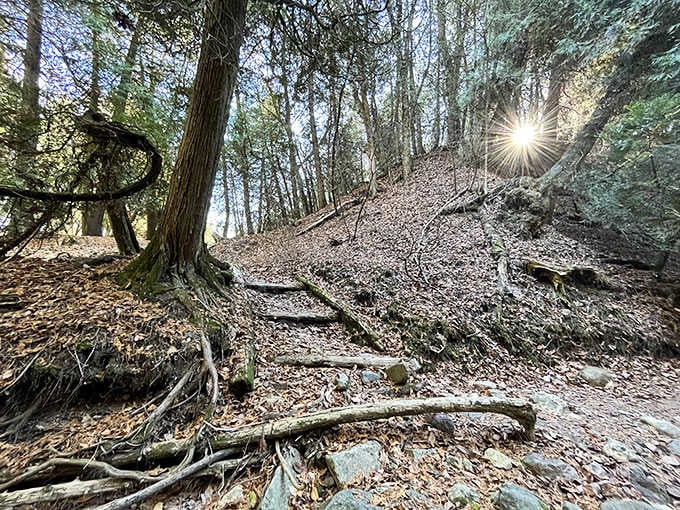 The rugged trail climbs upward through roots and rocks, rewarding your effort with views that make the climb worthwhile.