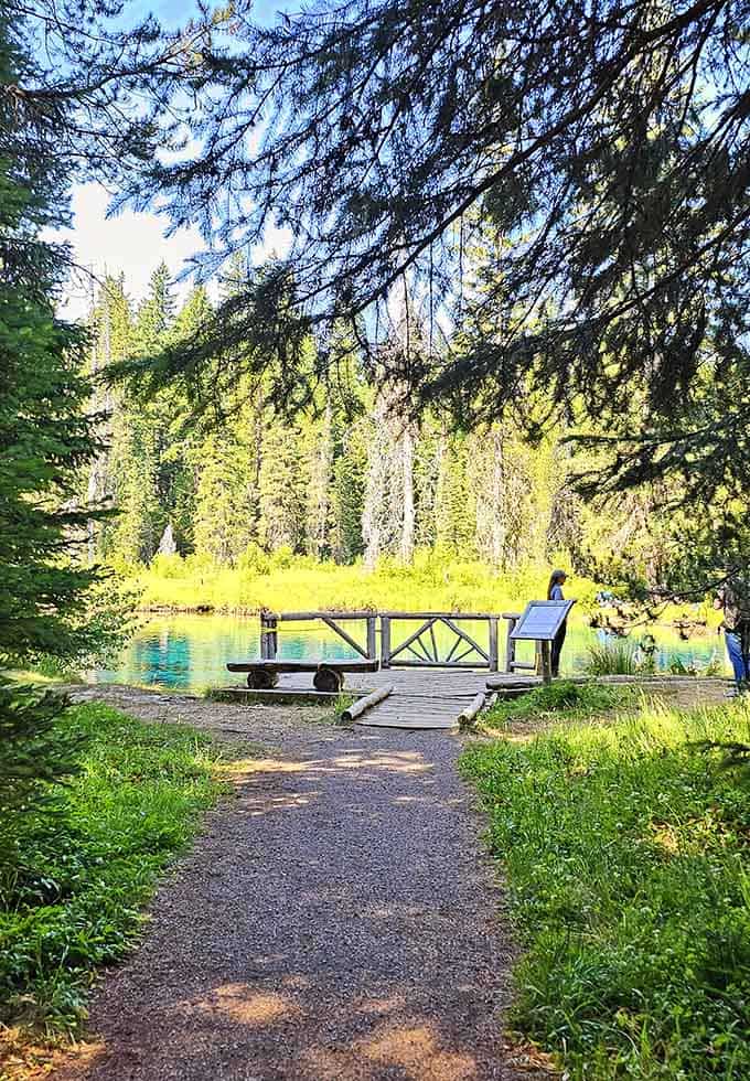 The short walk through shaded forest builds anticipation before revealing that first breathtaking glimpse of brilliant blue.