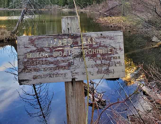 This weathered sign has seen more seasons than most of us, still faithfully pointing the way to paradise.