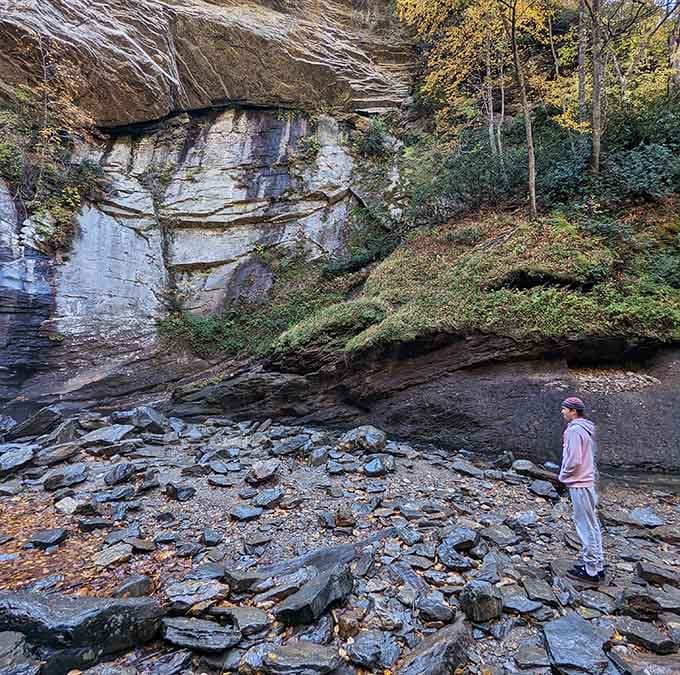 The rocky gorge floor reveals geological history written in stone, millions of years in the making.