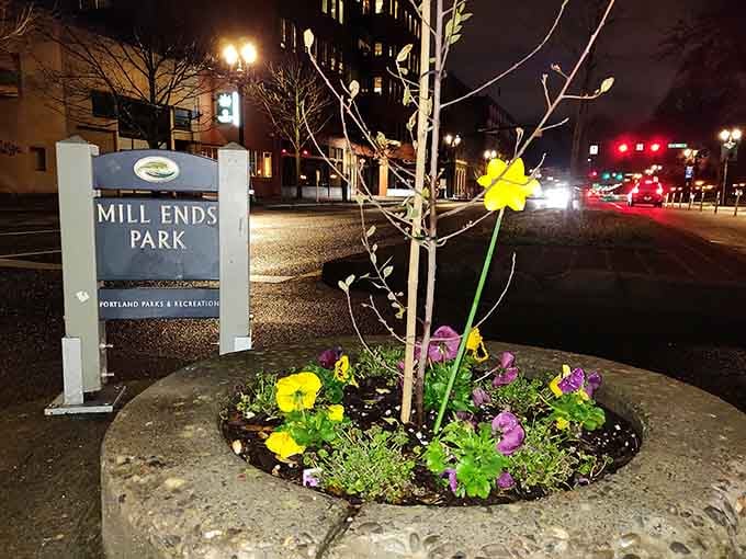 Spring flowers burst from this tiny space, bringing color and life to a park that's smaller than most restaurant tables.