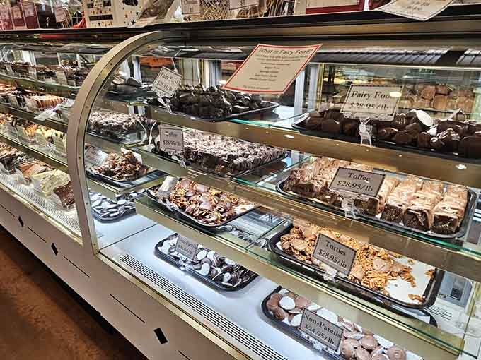 Chocolate treats behind curved glass, tempting you with dark, milk, and white varieties that make diets seem utterly pointless.