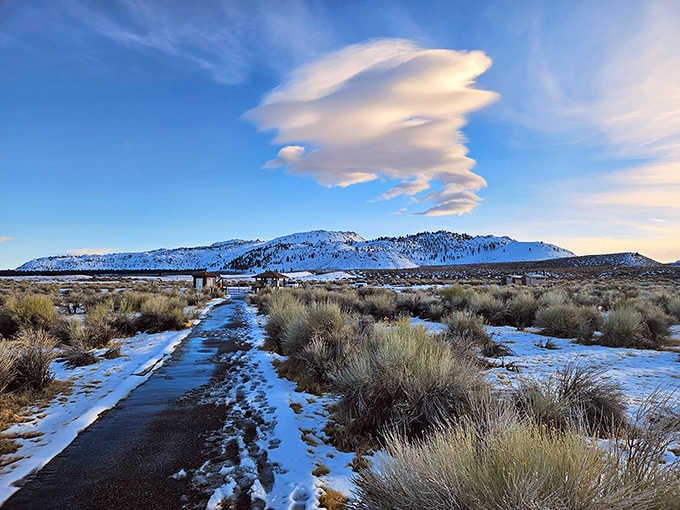 Winter blankets the landscape in snow, proving Mono Lake delivers stunning scenery in every season imaginable.