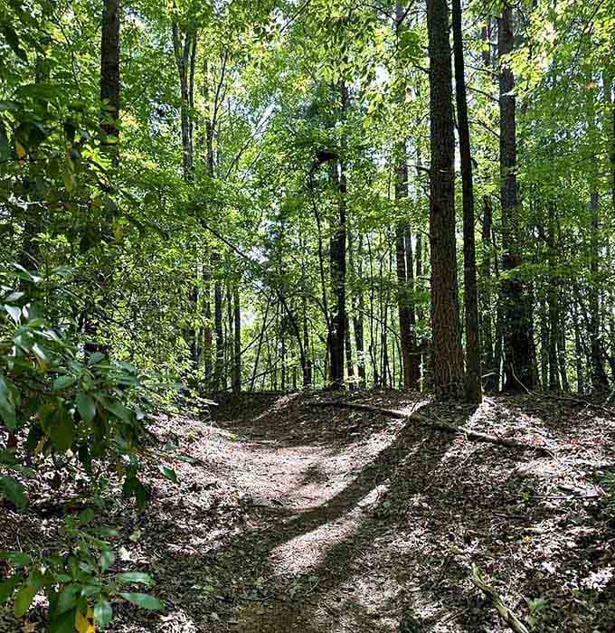 Every turn reveals another reason why South Carolina's Upstate deserves more attention than it gets.