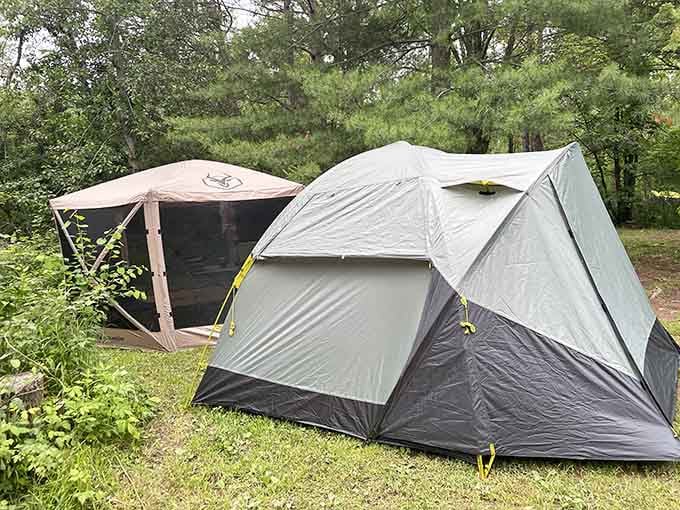 Modern camping tents nestled among the trees, offering that perfect balance between roughing it and actual comfort.