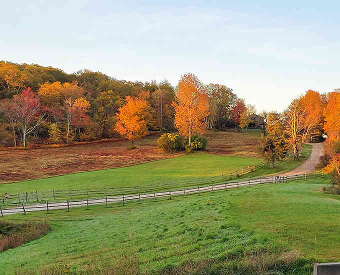 Fall foliage paints the landscape in colors so vibrant, your camera will accuse you of using filters.
