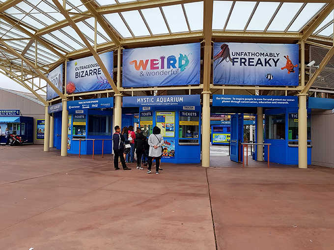 Those ticket booths are your entry point to hours of aquatic adventures that'll make you forget about everything else today.