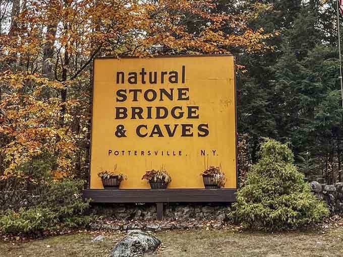 That cheerful yellow sign marks the gateway to geological wonders that'll leave you absolutely speechless inside.