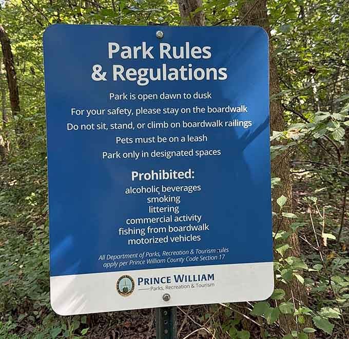 Simple rules keep everyone safe and happy, because even paradise needs a few sensible guidelines.