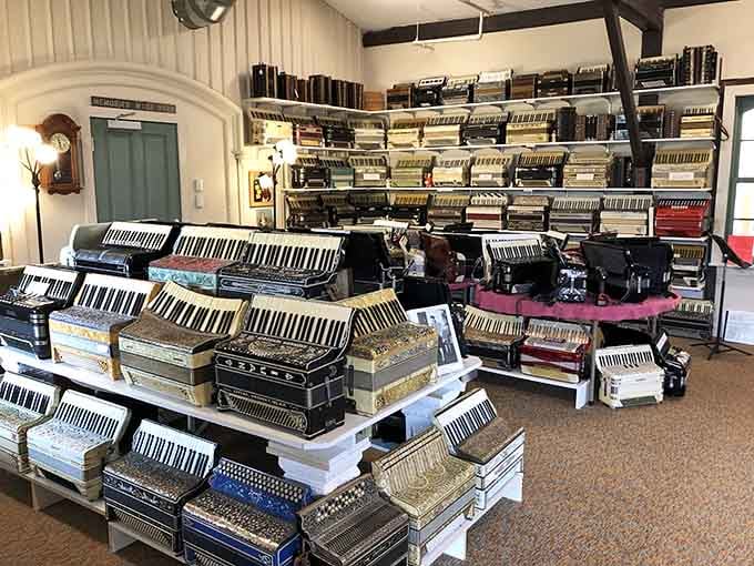 Another angle reveals even more accordions lining the walls, proving that 500-plus instruments isn't an exaggeration but a reality.