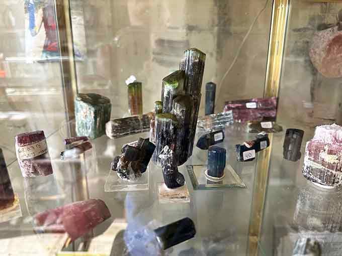 Museum-quality tourmaline crystals prove that world-class specimens still hide beneath these hills, waiting for discovery.