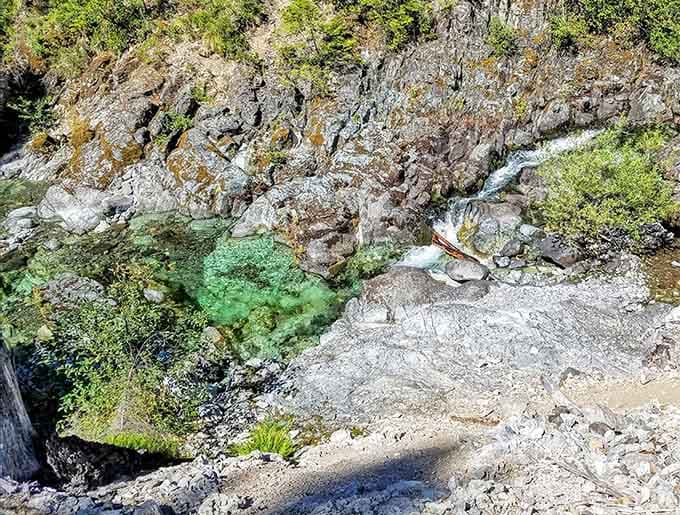 From above, the creek winds through forest like nature's own highway system without a single traffic jam.
