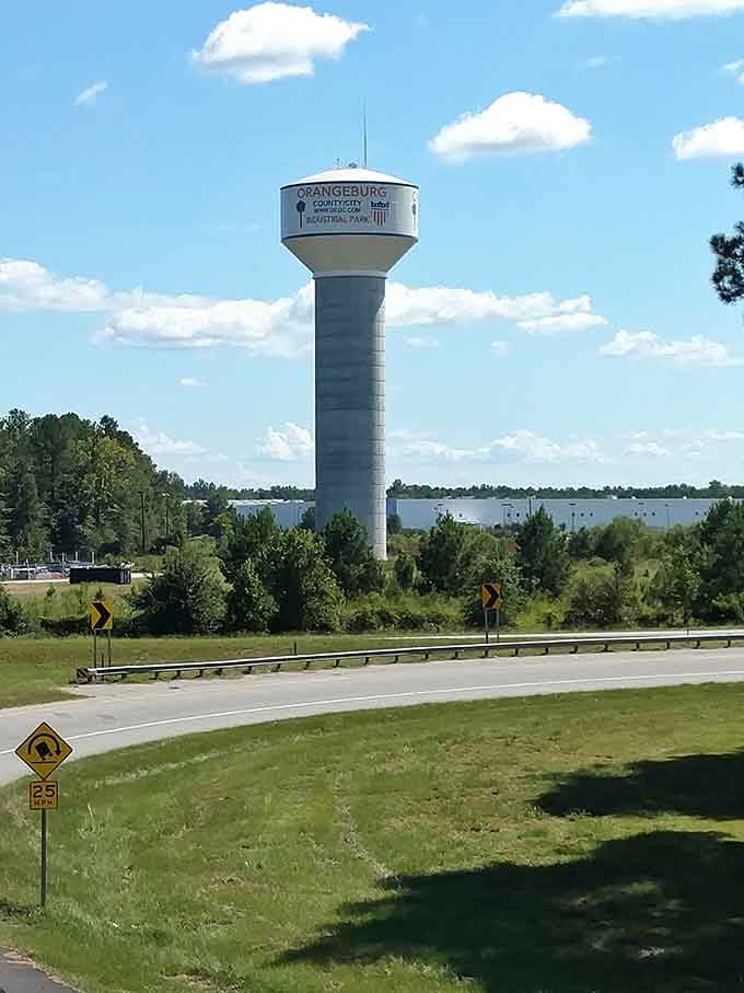 The water tower proudly announces you've arrived somewhere your budget can actually handle living comfortably.