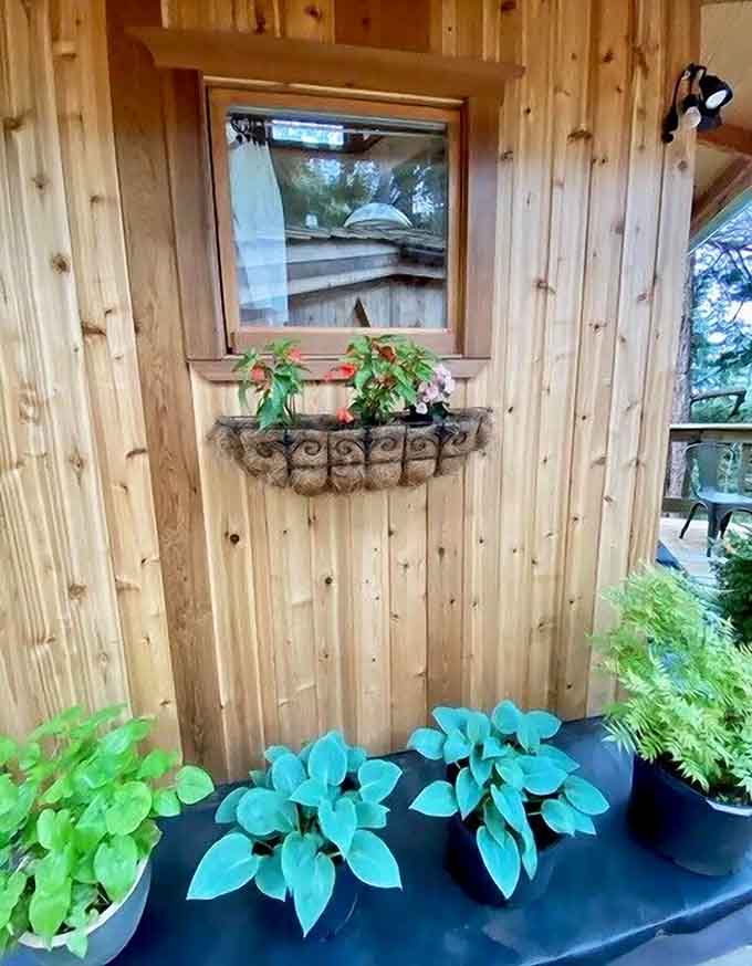 Even the window boxes get in on the fairytale action, adding pops of green to complement all that beautiful natural wood.