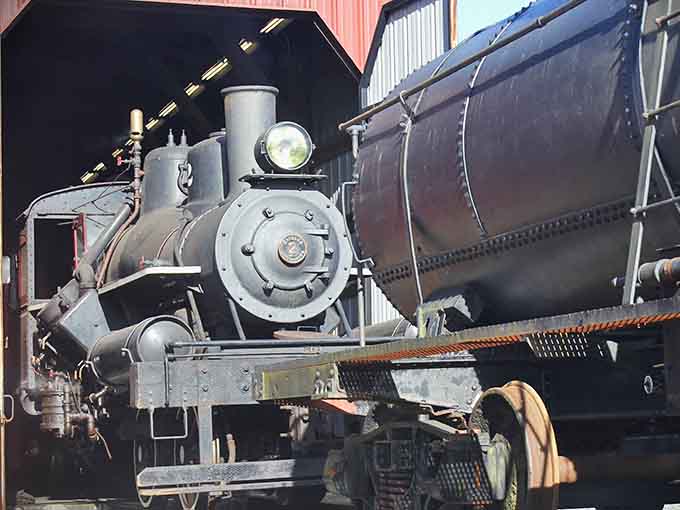 Up close with a Heisler steam locomotive, you can almost feel the heat and power of vintage railroad engineering.