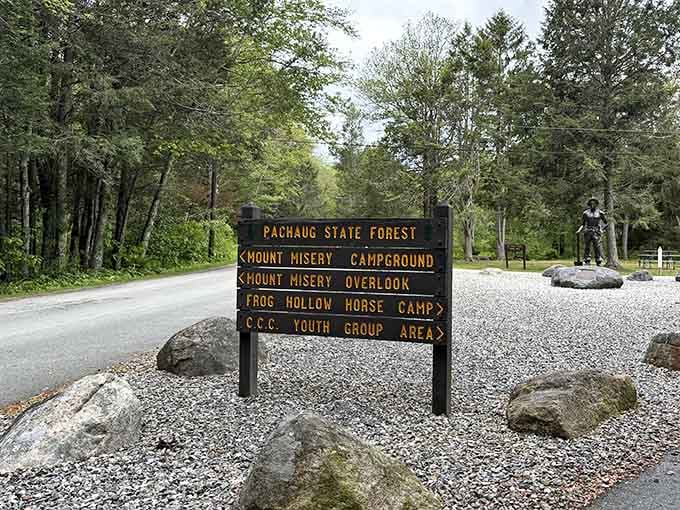 Classic forest signage points the way to adventures with names like Mount Misery, because apparently someone had a sense of humor.