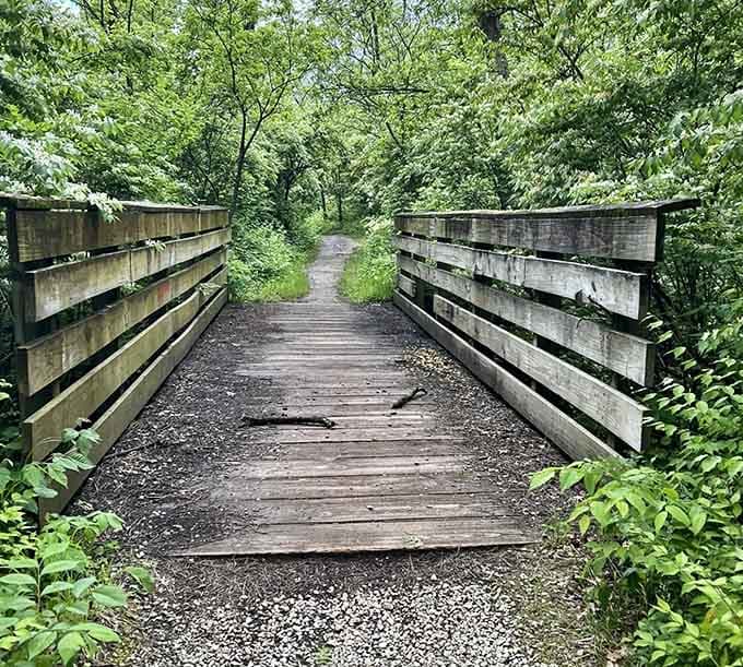 Footbridges cross gentle streams, connecting trail sections and reminding us someone actually planned this perfectly.