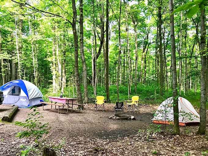 Campgrounds nestle among the trees, letting you wake to dawn chorus instead of alarm clocks.
