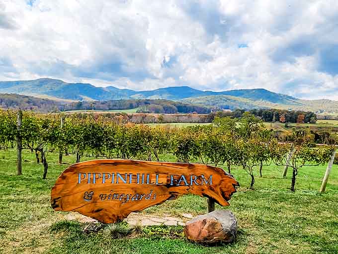 The wooden sign welcomes you to a place your GPS struggled to find worth it.