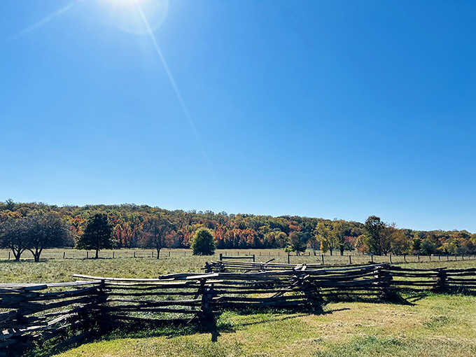 Split-rail fences frame autumn foliage perfectly, creating postcard views that'll make your friends incredibly jealous online.
