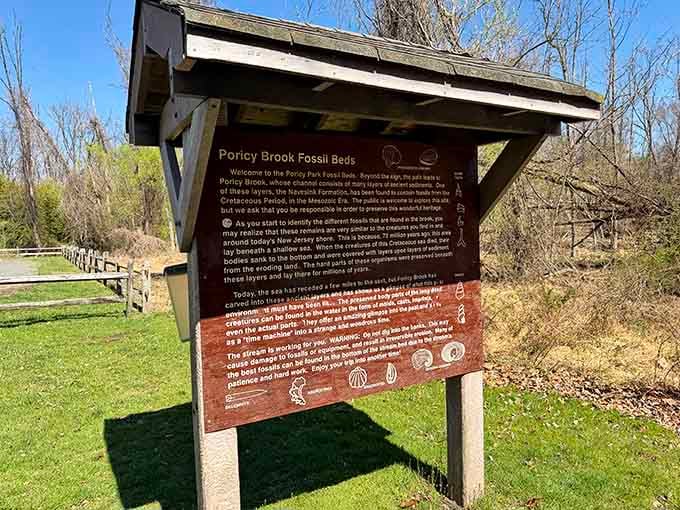 Educational signage helps visitors understand what they're looking at, turning a fun outing into a genuine learning experience too.