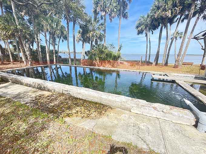 An old swimming pool hints at glamorous days gone by when this estate hosted gatherings under these same magnificent trees.