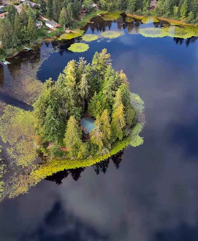 The aerial view reveals your temporary kingdom, a tree-covered paradise surrounded by calm waters and endless possibilities.