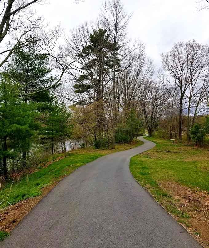 A curving path through spring greenery is nature's way of saying "keep walking, the good stuff's around the bend."