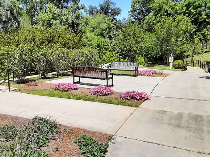 Benches positioned perfectly for maximum spring-gazing, because someone understood the assignment completely here.